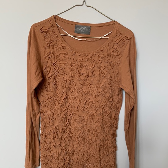 Zara | Tops | Zara Ruffled Tee Shirt | Poshmark